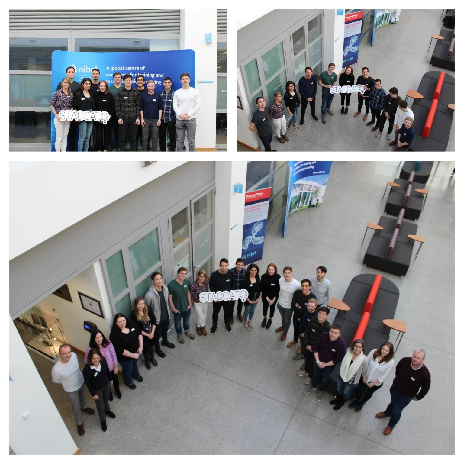 Successful first industry-academia networking experience - STACCATO